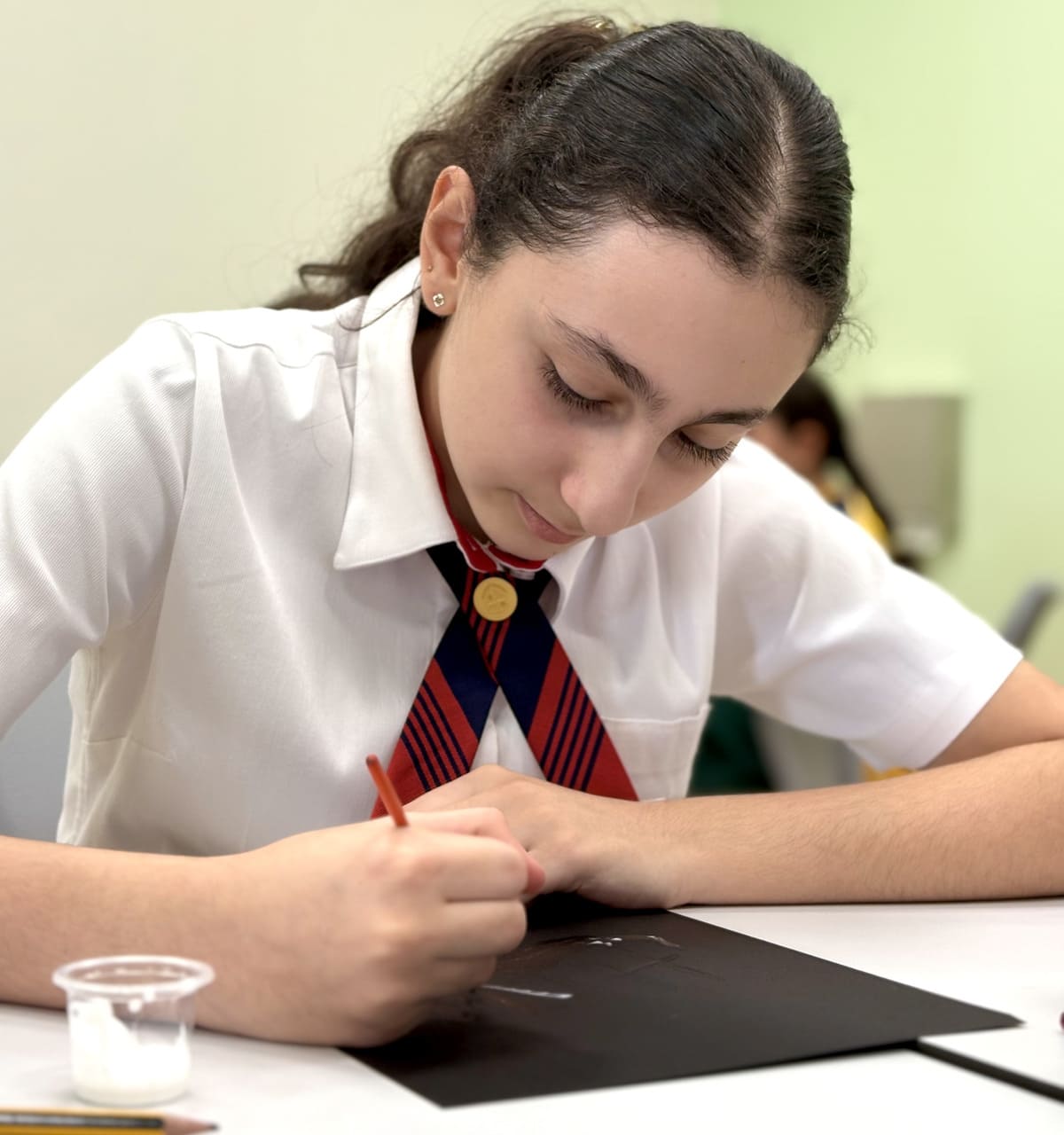 Make an application | Rushmore American School